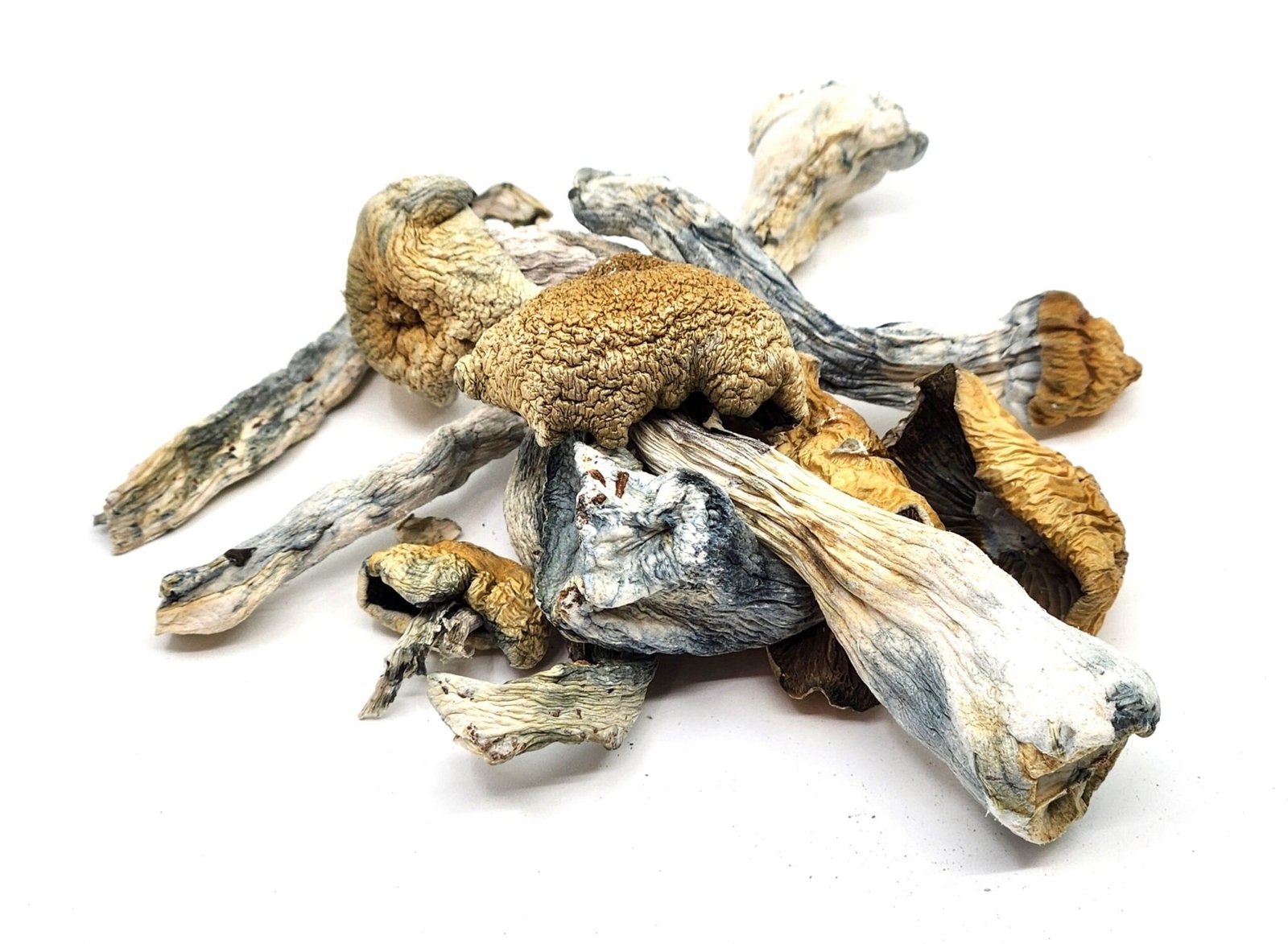 Buy Melmac (Shrooms) *** Dust / Bottoms *** Online - Fast Delivery ...
